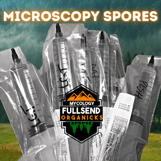 Spores | Microscopy Spores | Fullsend OrgaNicks